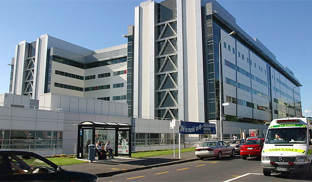 Auckland hospital - Interior Components